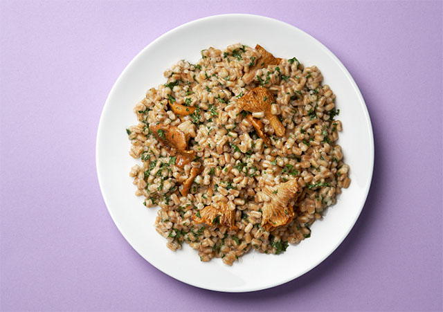 speltitto – SunSpelt